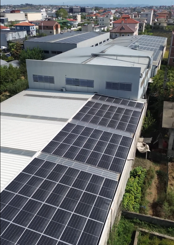 Marion SHPK - Synergy